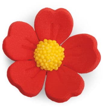 Decoratiuni Comestibile