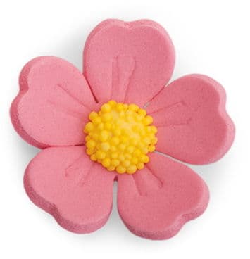 Decoratiuni Comestibile